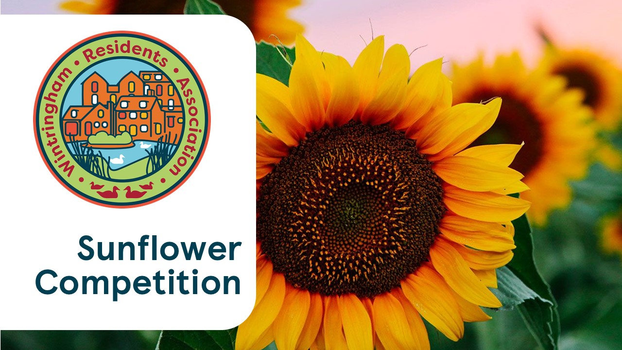 Wintringham Residents Association (WRA) : Sunflower Competition 2025